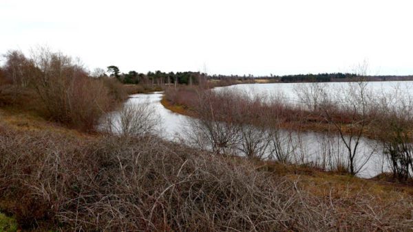 Wandelroute Rondje Reindersmeer, Maasduinen - Bestemming Buitenlucht