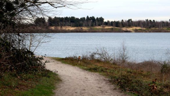 Wandelroute Rondje Reindersmeer, Maasduinen - Bestemming Buitenlucht