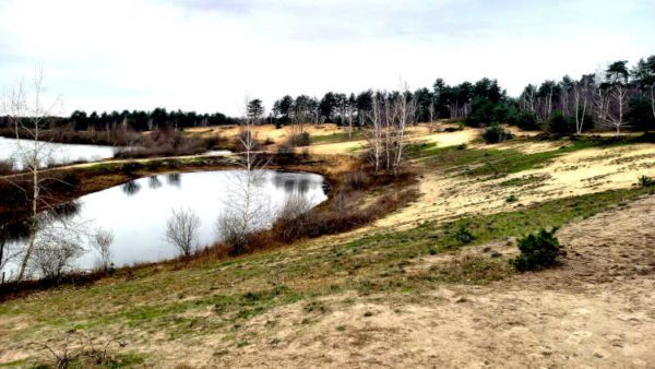 Wandelroute Rondje Reindersmeer, Maasduinen - Bestemming Buitenlucht