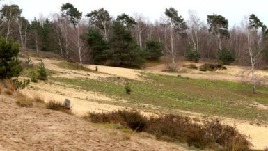 Wandelroute Rondje Reindersmeer, Maasduinen - Bestemming Buitenlucht