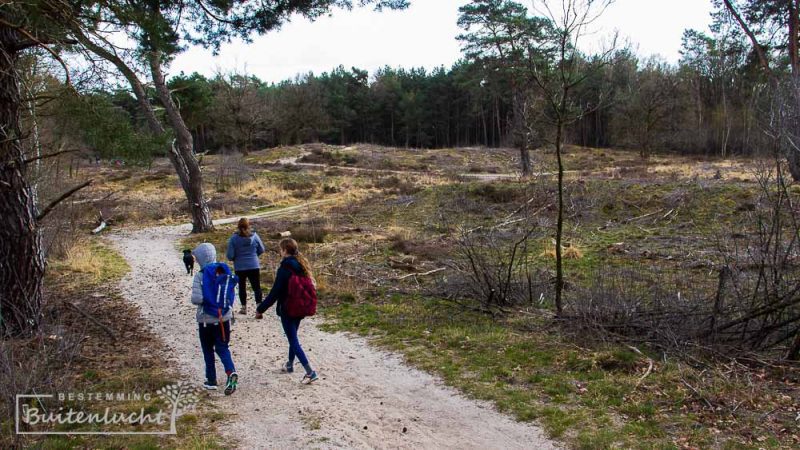Wandelen naar Leenderstrijp door 't Leenderbos - Bestemming Buitenlucht
