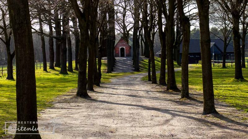 Wandelen naar Leenderstrijp door 't Leenderbos - Bestemming Buitenlucht