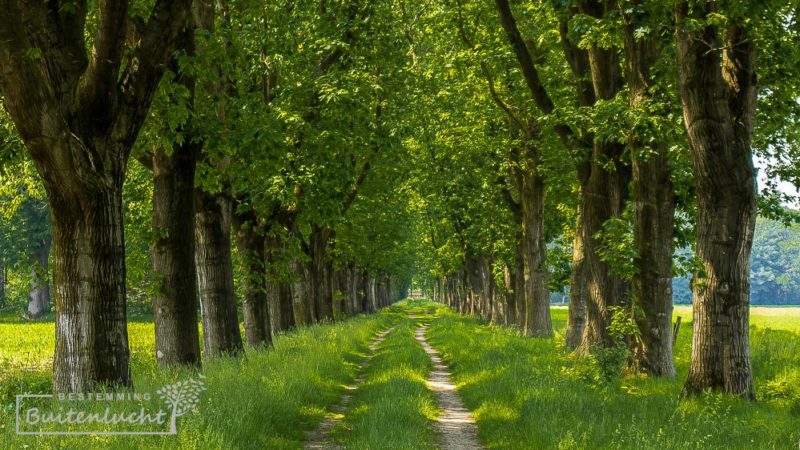 Huize Padua: wandelen tot je gek wordt in Handel