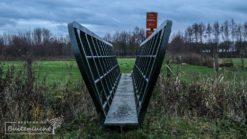 Wandelen in Bergeijk: Rietveld en luchtkasteel - Bestemming Buitenlucht