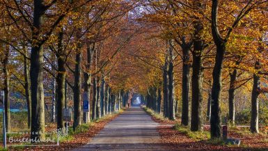 Wandeling langs de Dodendraad: natuur en historie bij Hamont-Achel