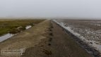 Wandelen langs de Waddenzee: Paesens-Moddergat-Wierum - Buitenlucht