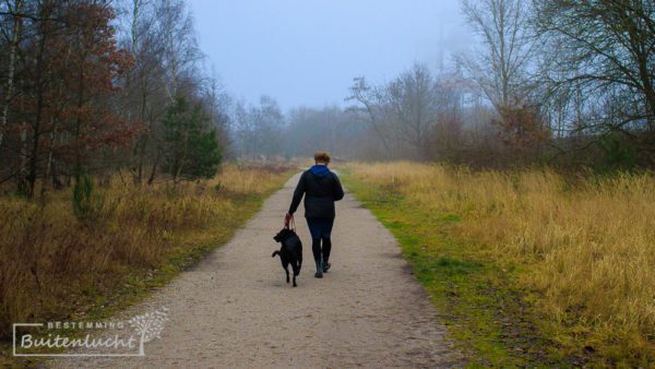 Terhills: wandelen door industrieel erfgoed met natuur en panorama
