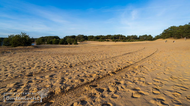 De Lommelse Sahara: spelen in woestijnzand en bos