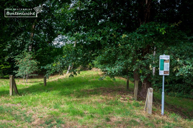 Wandelen in Olst: Landgoed de Haere en Landgoed ’t Nijendal