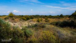 Kijfhoek en Bierlap: alleen op de wereld wandelen in Wassenaar