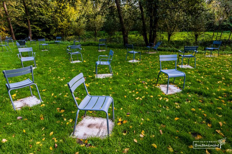 Wandelroute Zuidas: gave architectuur en rustgevend groen.