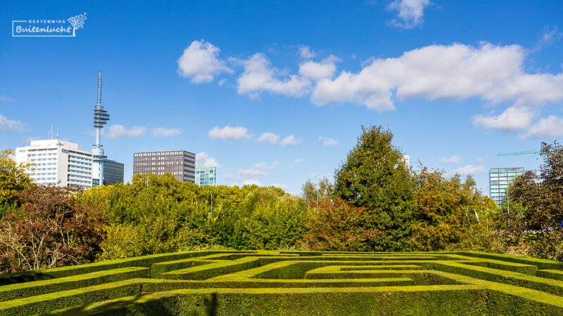 Wandelroute Zuidas: gave architectuur en rustgevend groen.