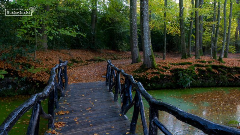 Sierlijk slingeren over Stania-State Oenkerk: Rap Rondje wandelen